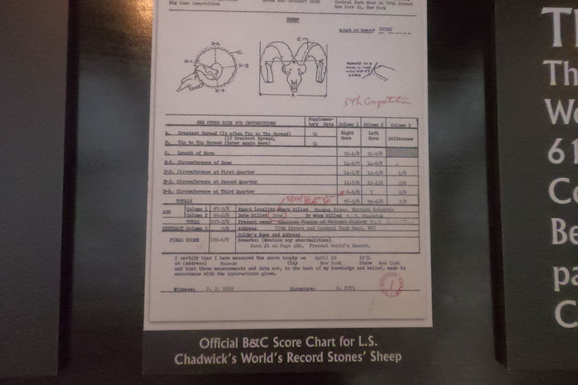 The Chadwick Ram: Boone and Crockett's Most Famous Record