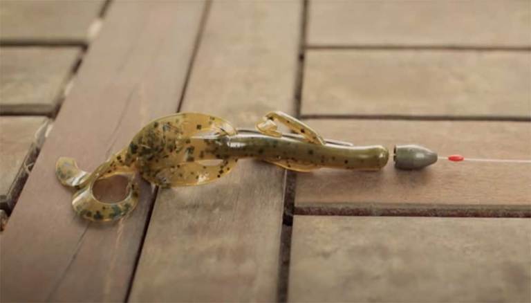 Best Baits for Spawning Bass: Shakey Heads, Creature Baits, and More