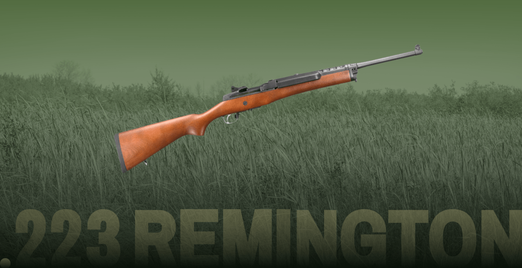 .223 Rifles: Expert Picks for Varmint Hunting