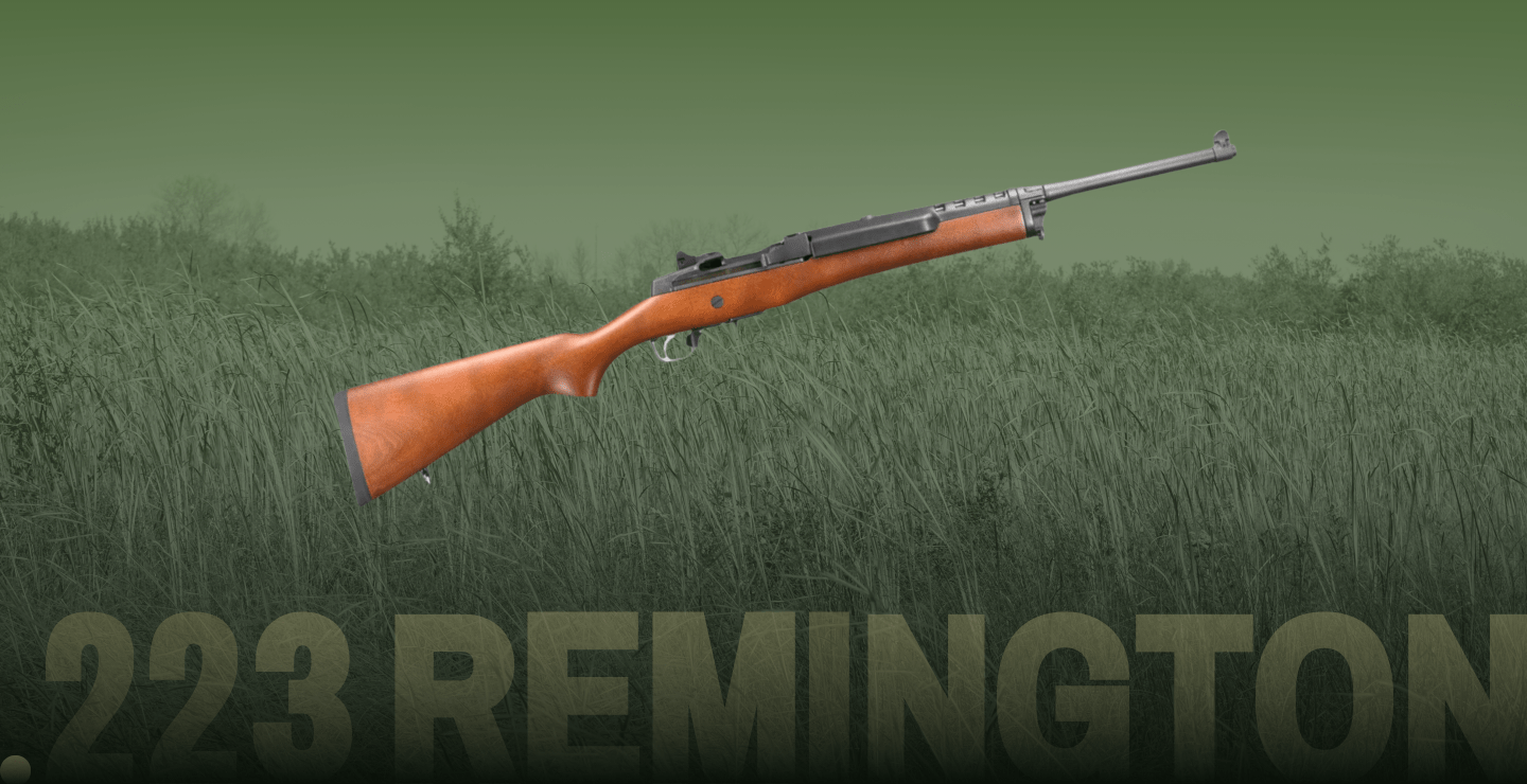 .223 Rifles: Expert Picks for Varmint Hunting