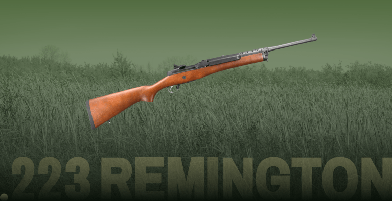 .223 Rifles: Expert Picks for Varmint Hunting