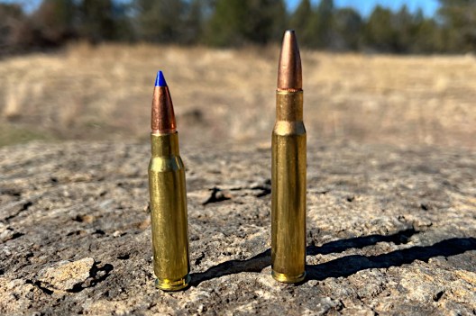 .30-06 vs .308: What Makes Each Cartridge Unique