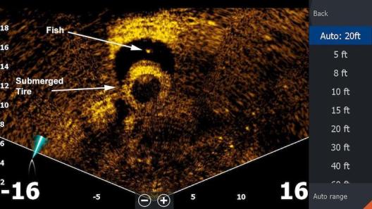 Lowrance ActiveTarget Live Sonor Reveals Interesting Submerged Obects