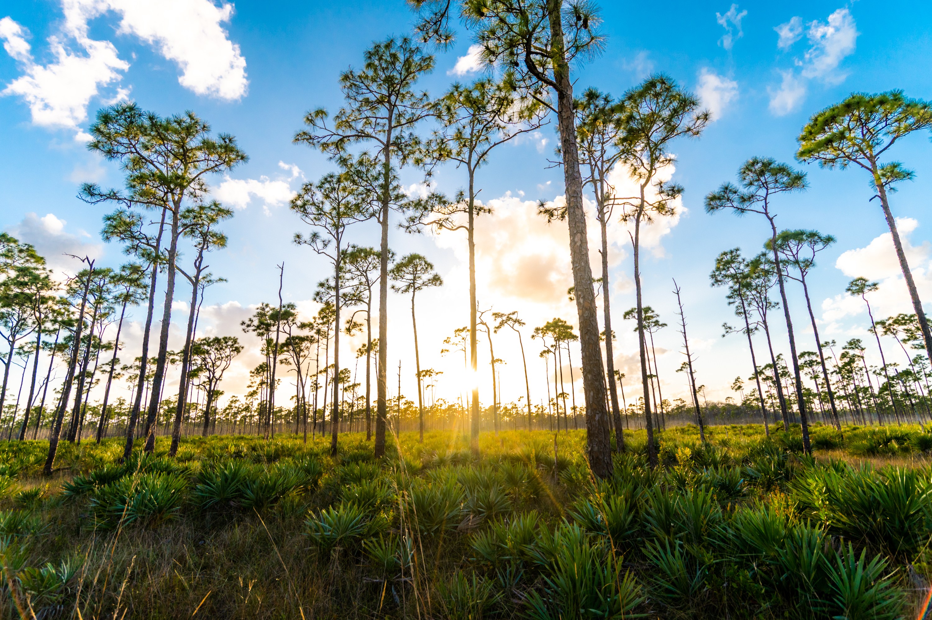 11 National Parks In Florida Worth Your Vacation Time in 2023