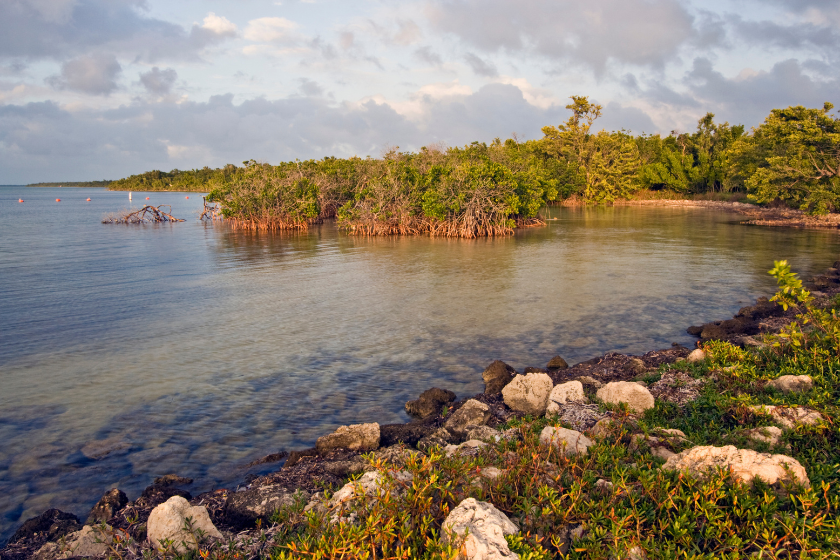 National Parks In Florida: Diverse Reserves & Sunshine State Seashores ...