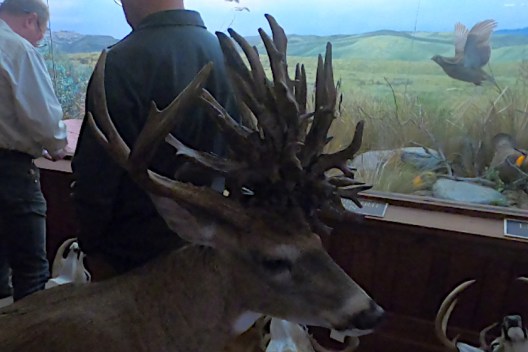 The Brian Butcher Buck: How the 67-Pointer Re-Wrote the Record Books