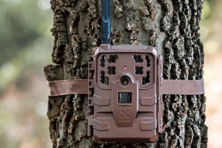 Cellular Trail Camera Pros, Cons, Ethics, and Available Models