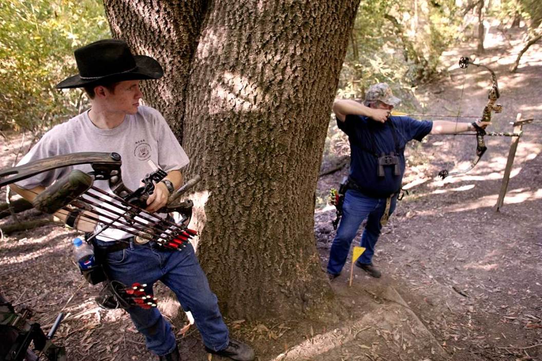 DIY Backyard Archery Ranges: Safety and Efficacy