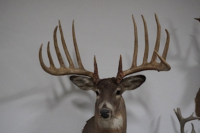 The Johnny King Buck: The Wisconsin "World Record" Whitetail That Wasn ...