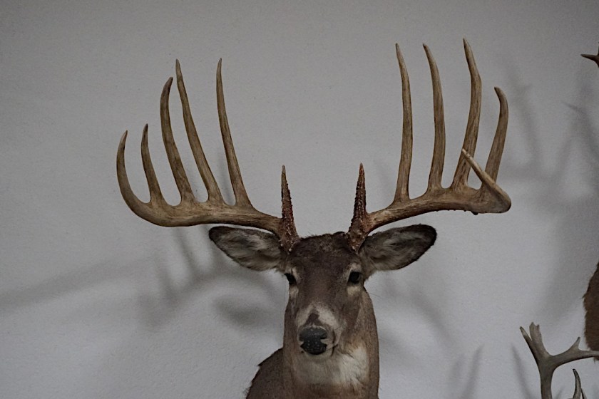 The General: The World Record Nebraska Whitetail Known Only By Sheds