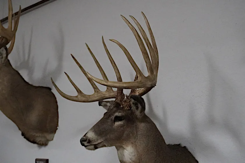 The Legend of the "Kansas King" Buck & His World Record Sheds