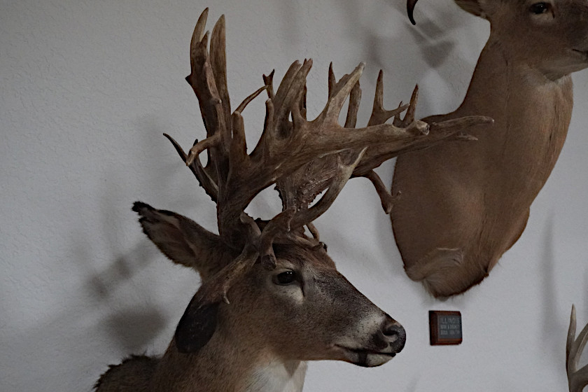 Mitch Vakoch Buck Still Stands as the Minnesota State Record Nearly 50 ...