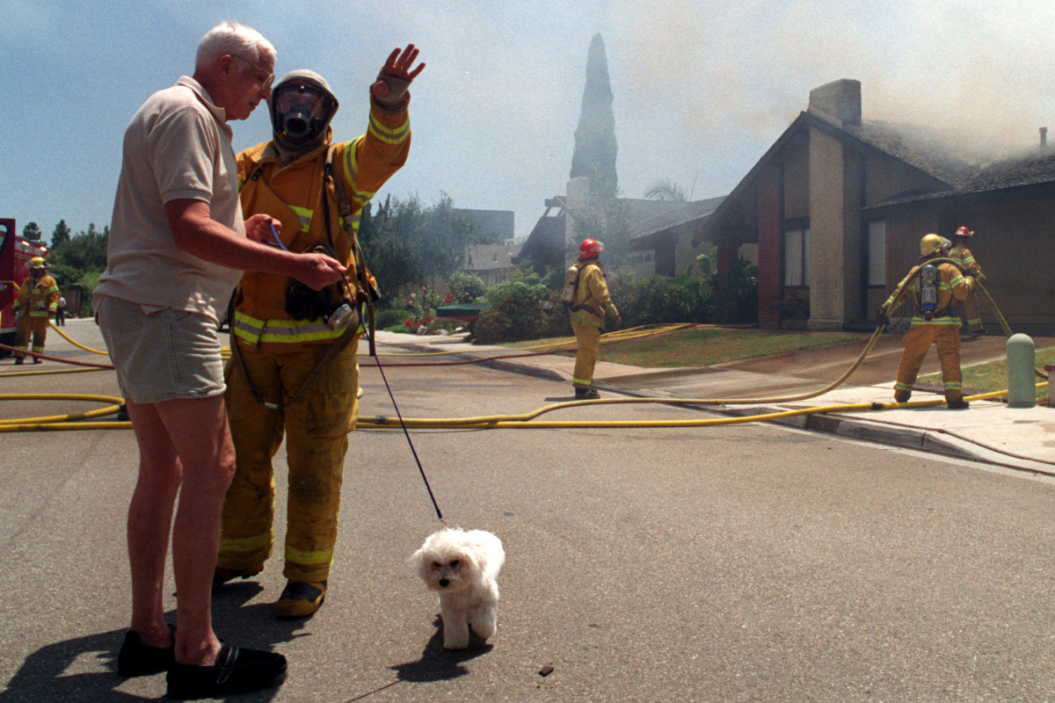 How to Make a Pet Fire Safety Plan - Best Pet Fire Safety Tips