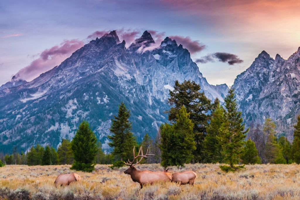 The 5 Newest U.S. National Parks Worth Visiting