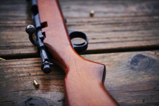 9 Best .22 Rifles for Plinking and Hunting in 2022