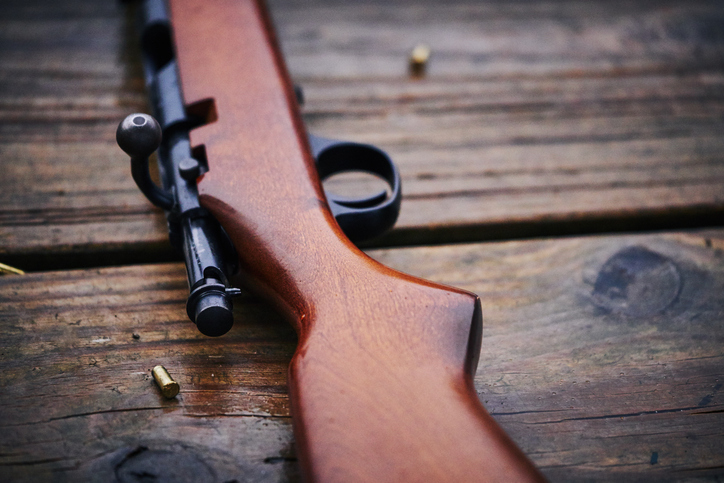 9 Best .22 Rifles for Plinking and Hunting in 2022