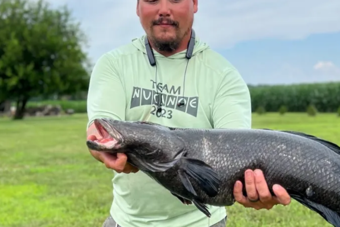 Snakehead Fish: The Invasive Species and Its Spreading Range