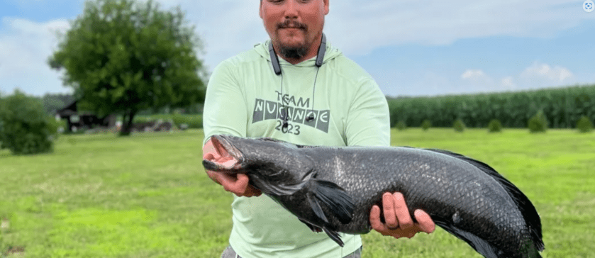 Snakehead Fish: The Invasive Species and Its Spreading Range