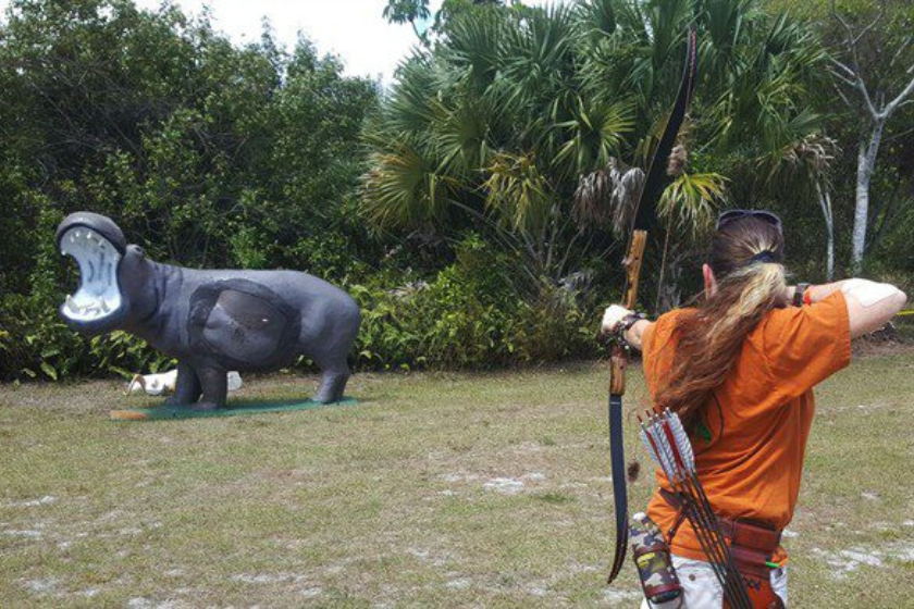 3D Archery Challenges That Will Take Your Skills to the Next Level