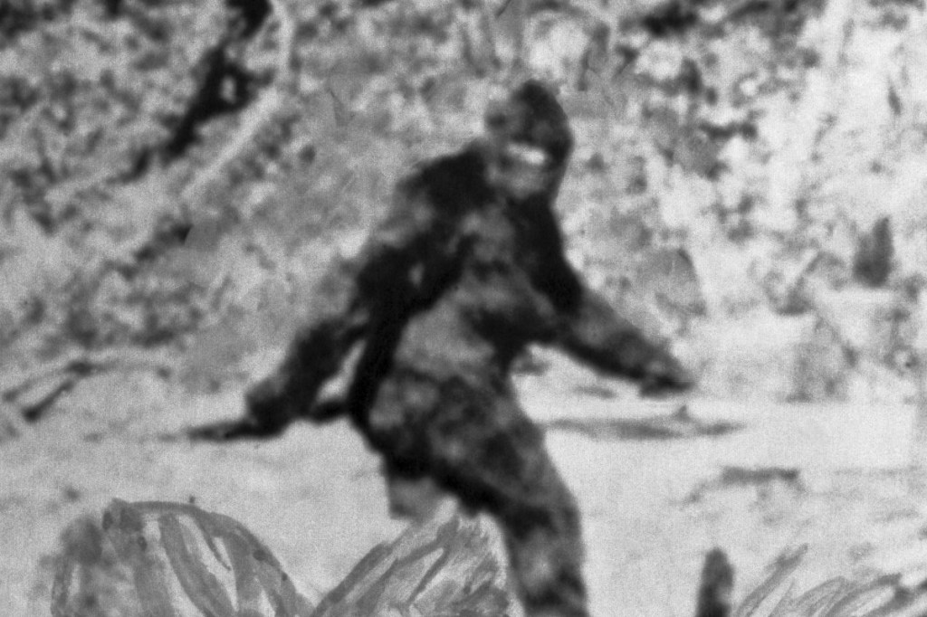 Hunters Capture Bizarre Howling Sound Echoing Through Ontario Woods ...