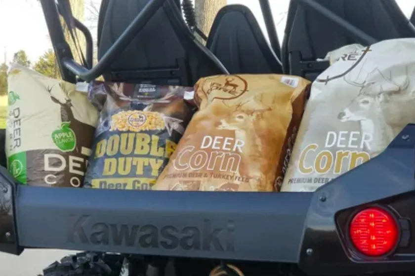 Deer Corn: What to Know About this Effective Deer Attractant