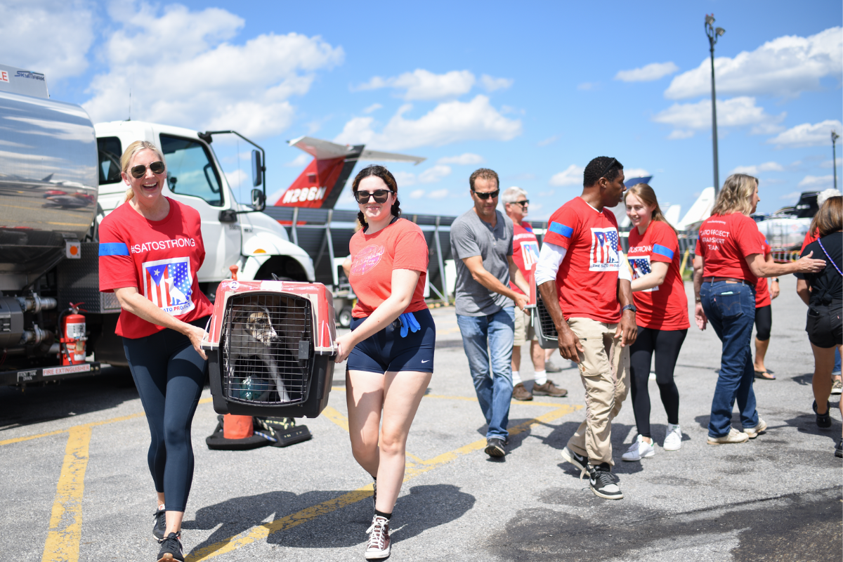 300 Homeless Pets Rescued in "Freedom Flight" From Puerto Rico