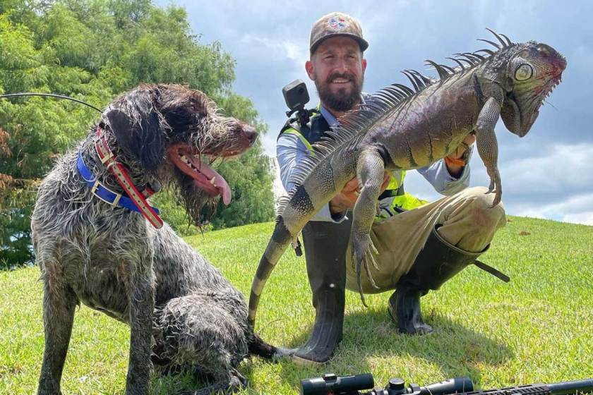 Florida Iguana Hunter Mike Kimmel is Taking It to the Invasive Species