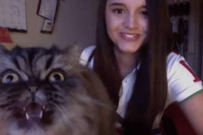 Singing Cat Steals the Spotlight During His Owner's Opera Practice