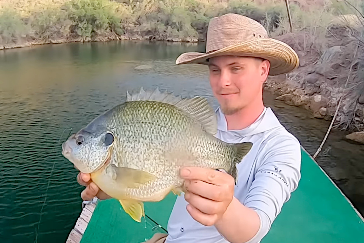 The 5 Most Likely Places the Next World Record Bluegill Will be Caught ...