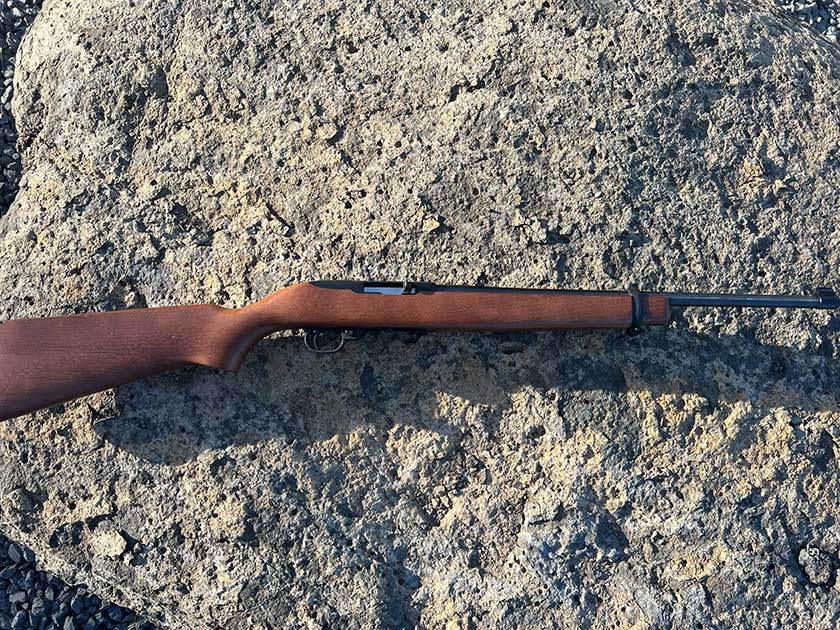 9 Best .22 Rifles for Plinking and Hunting in 2022