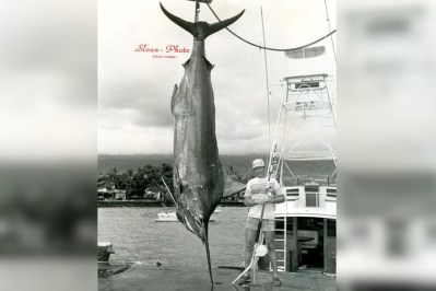World Record Blue Marlin: Why the Records May Never Be Broken