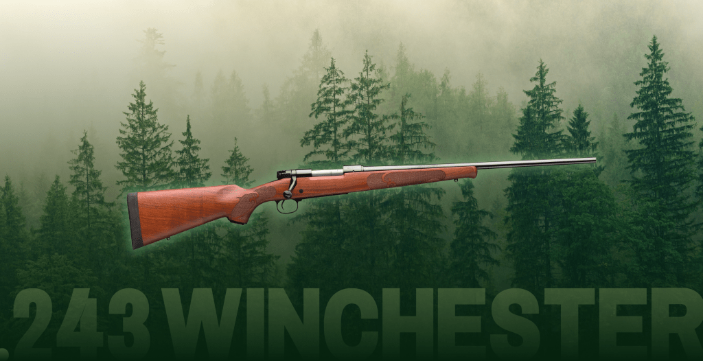 .243 Winchester Rifles, 10 Options That Won't Break the Bank