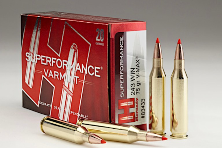 .243 Ammo, 10 Choices Great For Deer and Coyotes