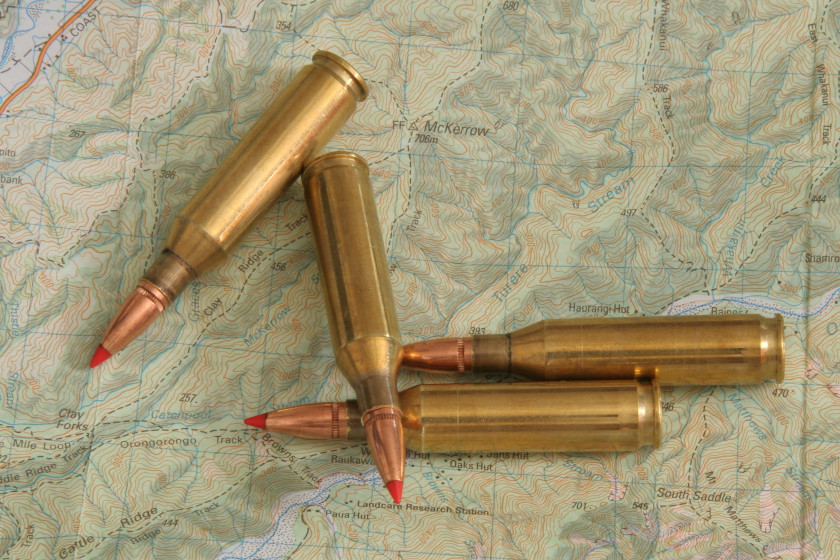 .243 Ammo, 10 Choices Great For Deer and Coyotes