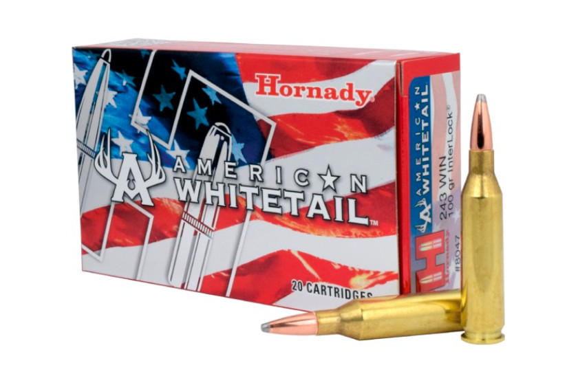 .243 Ammo, 10 Choices Great For Deer and Coyotes