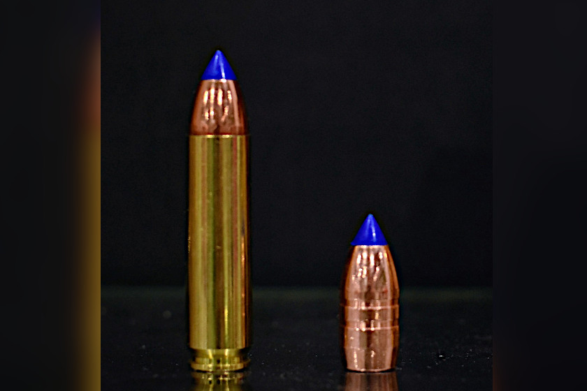 .450 Bushmaster Ammo, Our Top Picks For Straight Wall States