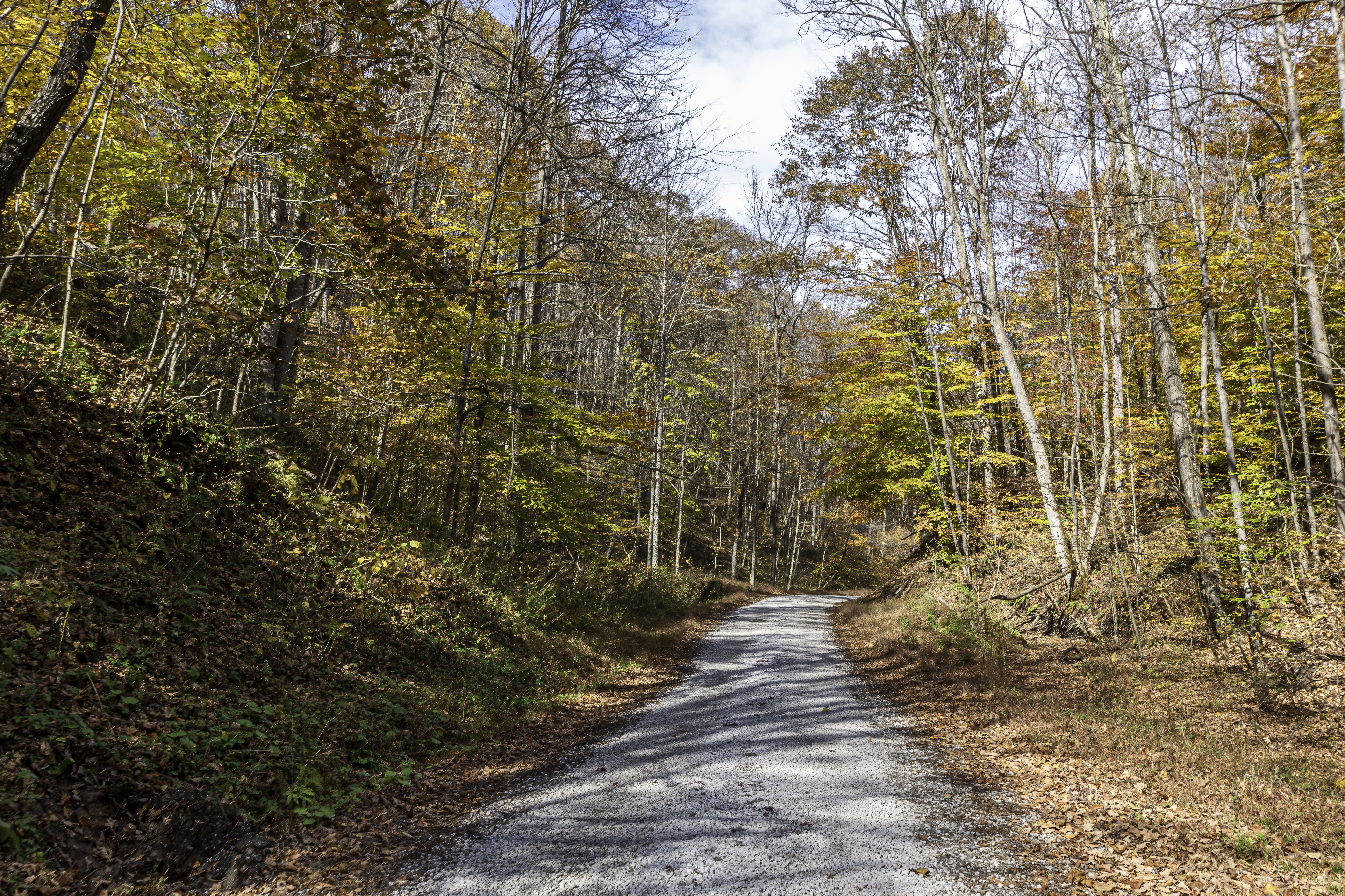 Best Ohio Public Hunting Lands For Snagging A Big Buck