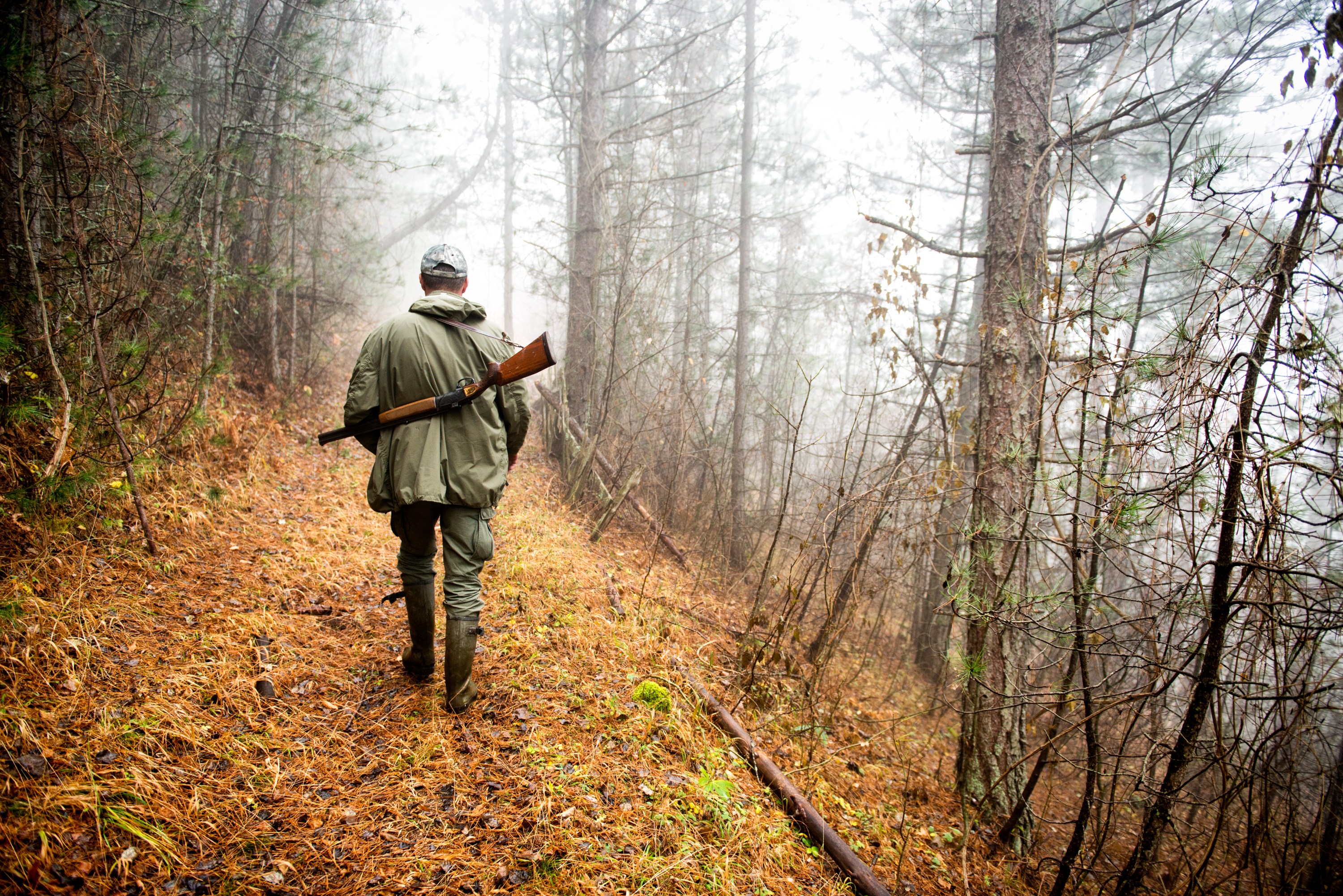 How to Track a Deer with No Blood Trail
