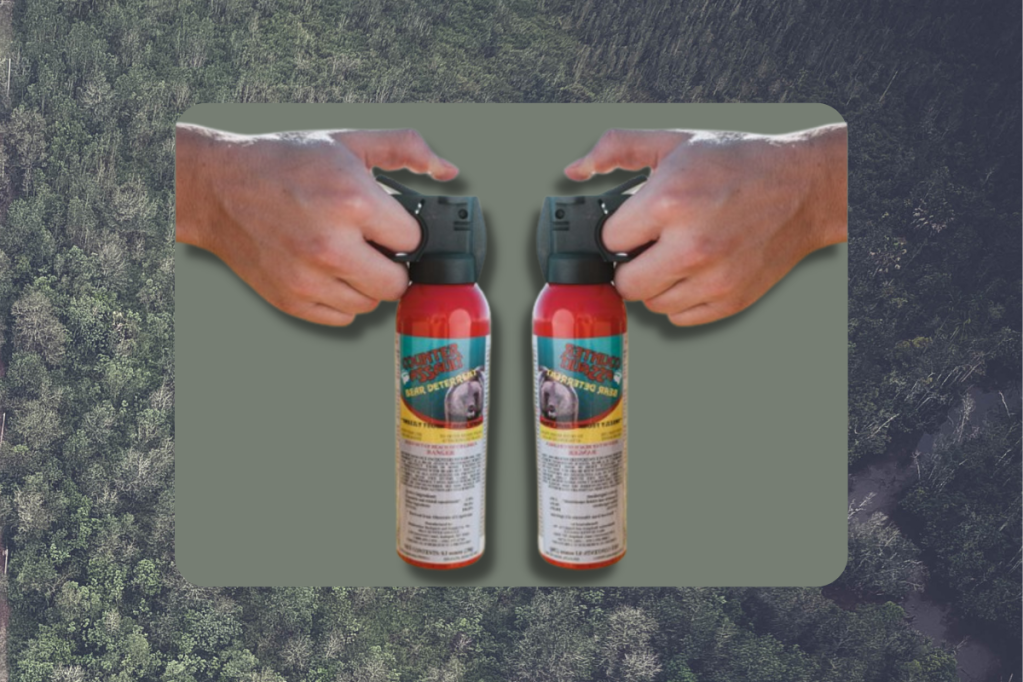 5 Best Bear Sprays for Range, Practice & Best Overall {2023}