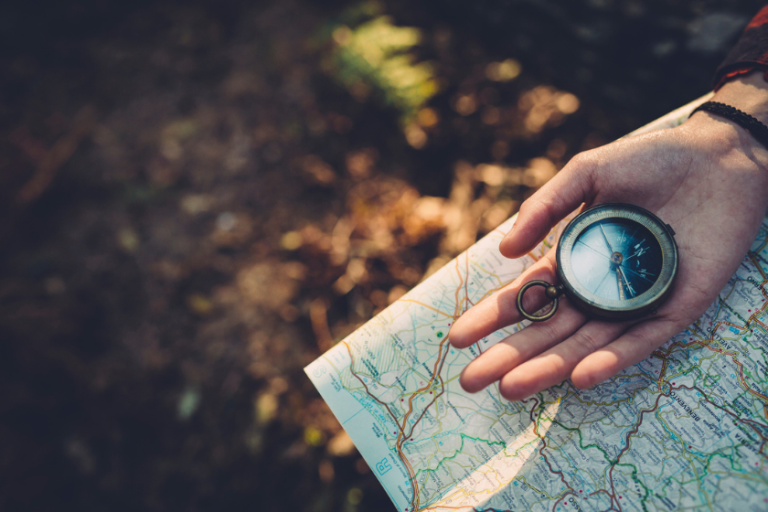 Best Survival Skills: Ranking 13 Abilities You Need