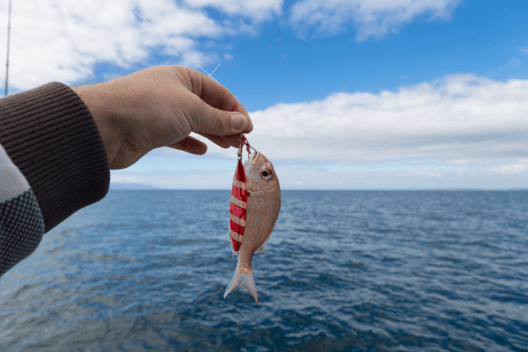 What is Micro Fishing? Take a Plunge Into the World of Tiny Tackle