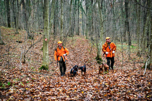 Alabama Hunting License: What You Need to Know Before You Go