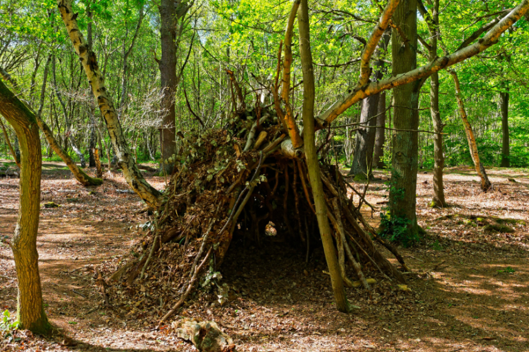 Best Survival Skills: Ranking 13 Abilities You Need