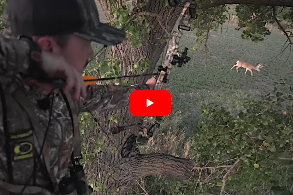 Bowhunter Shoots Buck With Chunk of a 3-D Archery Target Wedged in His ...