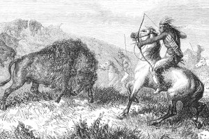 American Bison, How The Army Nearly Wiped Them Out