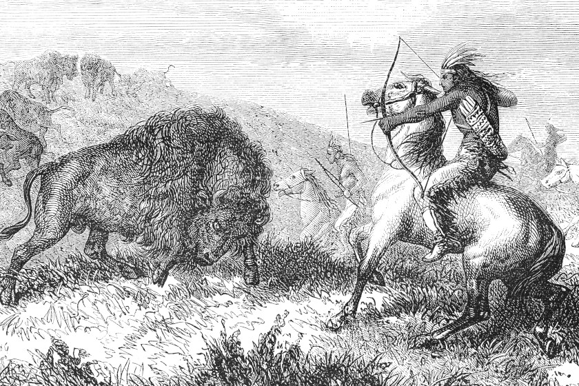 American Bison, How The Army Nearly Wiped Them Out