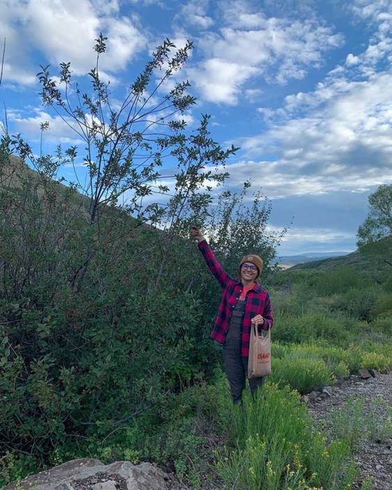 Chokecherries: Identify, Harvest and Cook These Wild Edibles