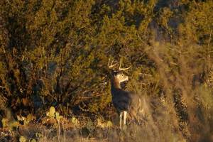 Hunting Facts: 7 Facts You'll Wish Weren't True
