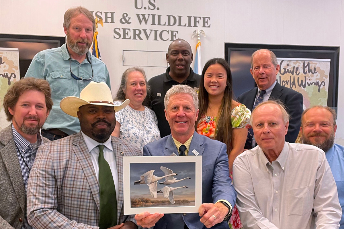 Annual Duck Stamp Art Contest Crowns 2022 Winner