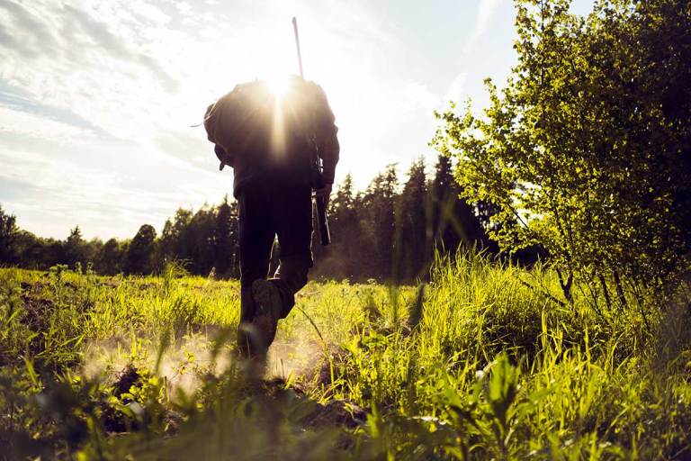 Deer Feeding Times, Figuring Out Whitetail Eating Habits